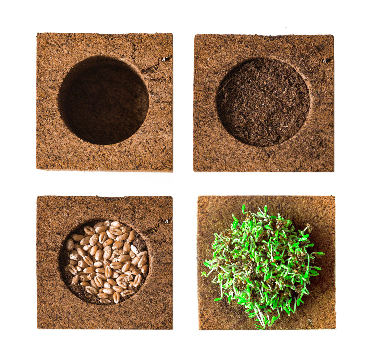 PEAT CUBE / the first – Edgars Ameriks peat workshop & art gallery